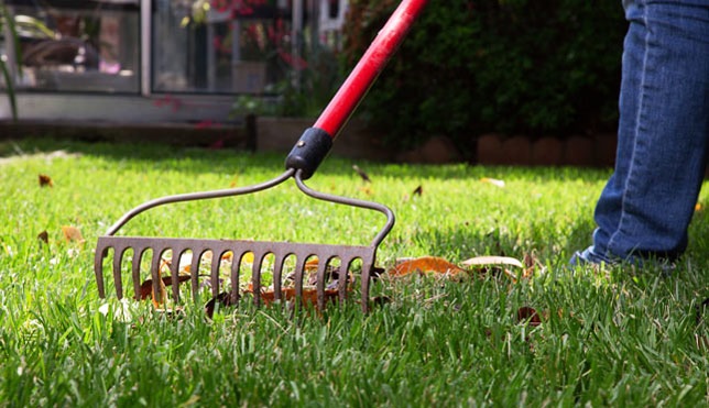 Puyallup Yard Maintenance Tips for New Homebuyers - Lawn Care ...